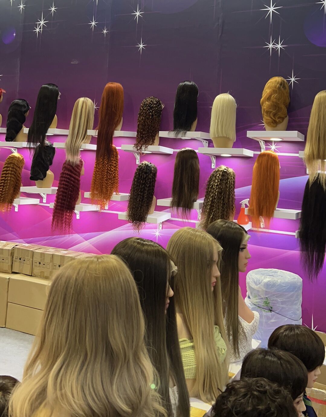 Chooseing the Perfect Human Hair Wig – Fit Fashion Wigs